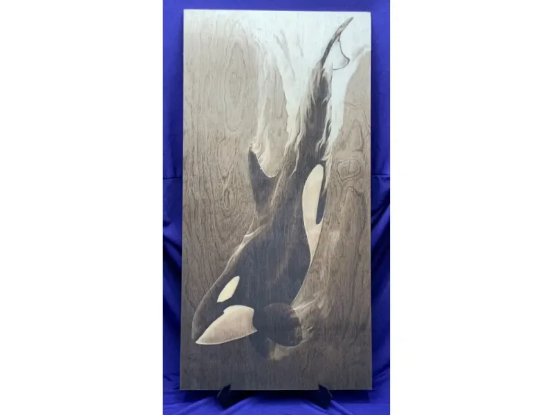 Orca Whale diving into the water | Voyij.com